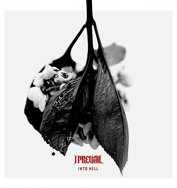 What's New on Octane | SiriusXM